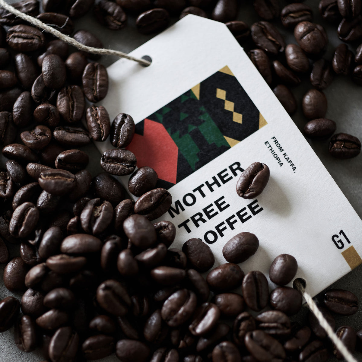【中煎り】MOTHER TREE COFFEE G1[150g]